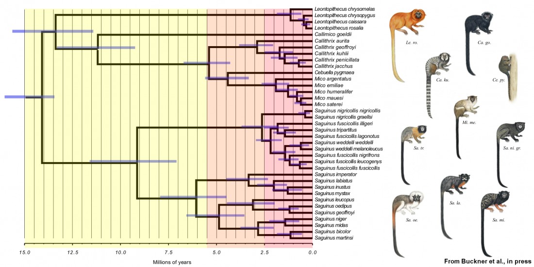 Janet Buckner – The UCLA Institute for Society and Genetics