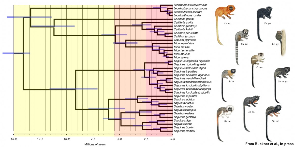 Janet Buckner – The UCLA Institute for Society and Genetics