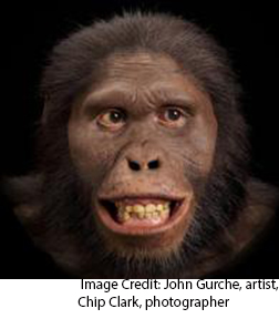 africanus_JG_Recon_head_CC_f_sq – The UCLA Institute for Society and ...