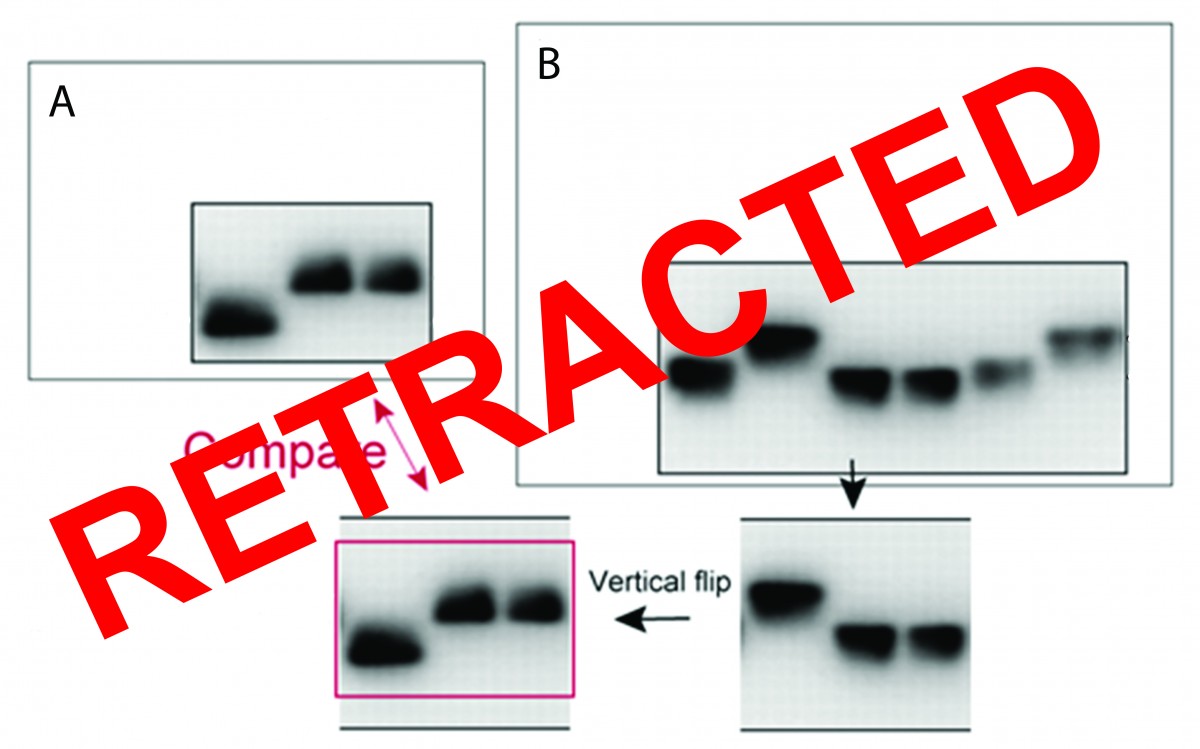 RETRACTED IMAGE2 – The UCLA Institute for Society and Genetics