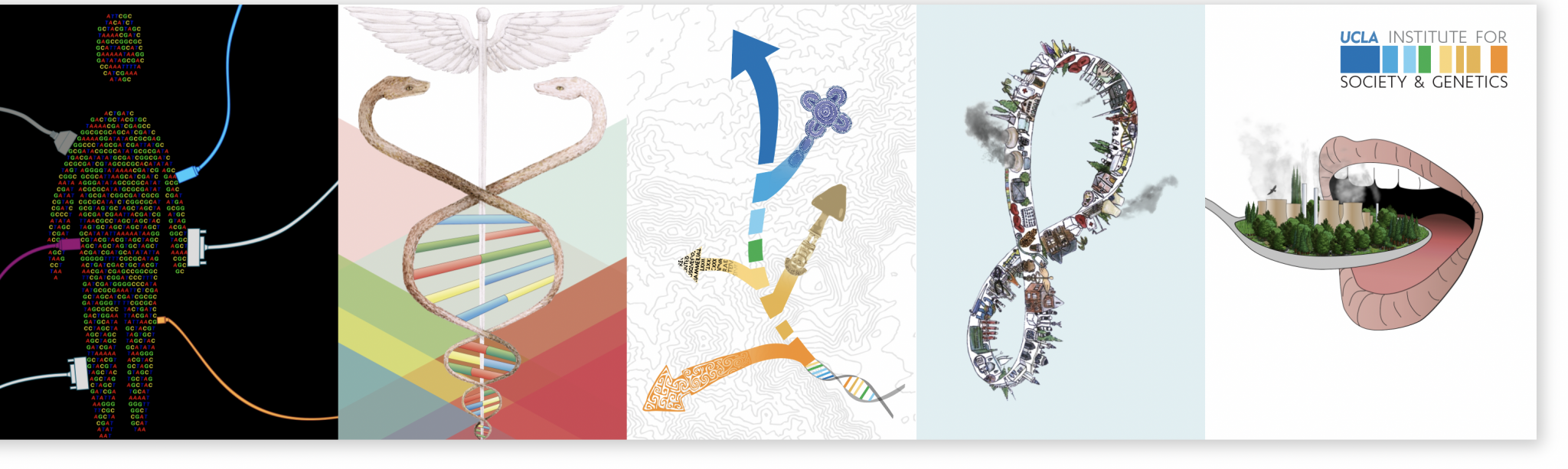 Research Illustration – The UCLA Institute for Society and Genetics